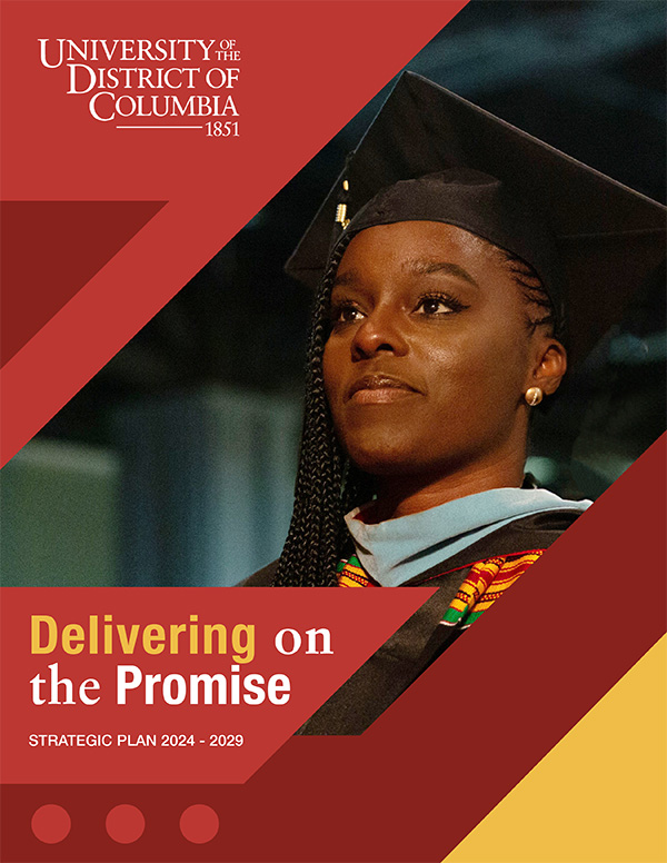 Delivering on the Promise – Strategic Plan 2024-2029