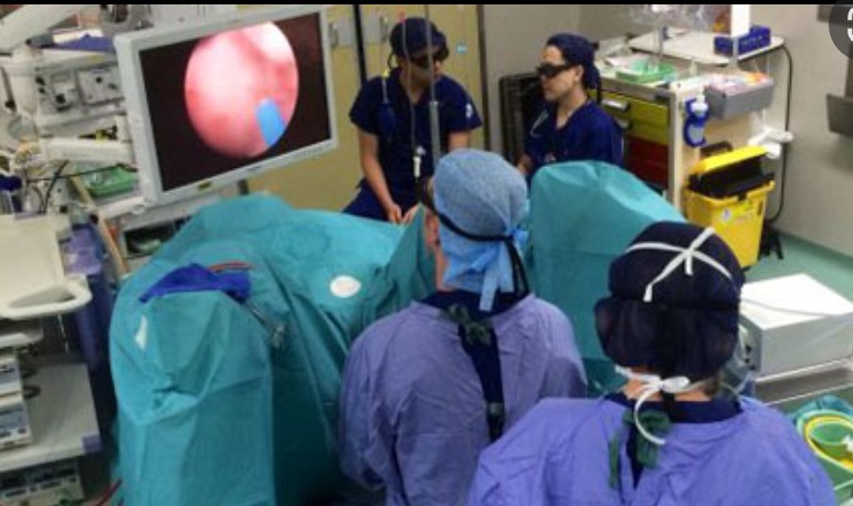 Profesores confirmados HPB y Opciones de hospedaje