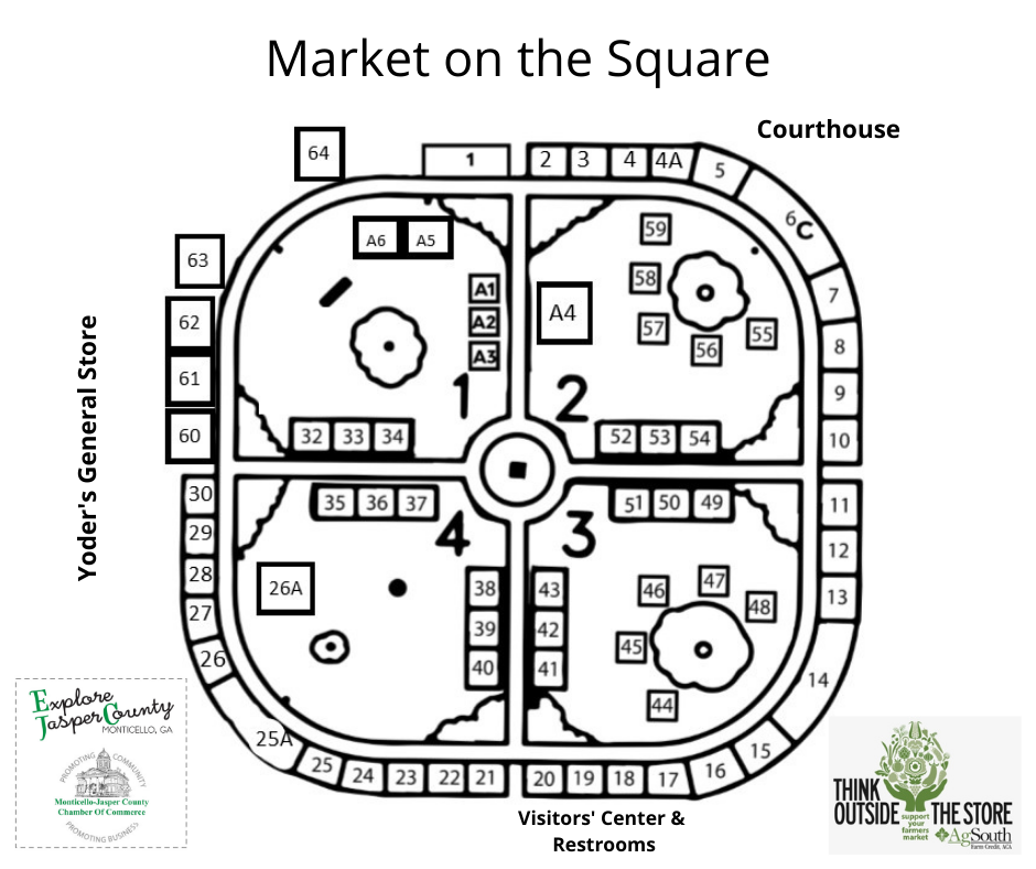 Market on the Square Week 4 - 6/11