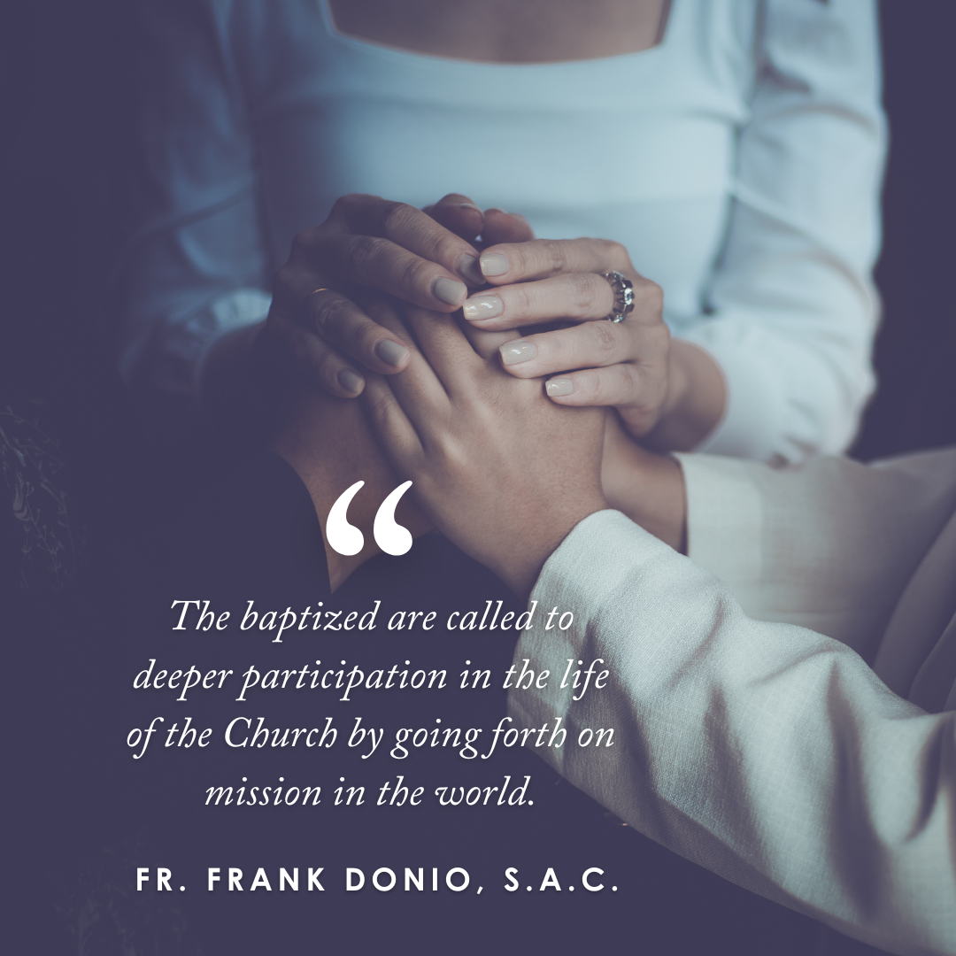 Synod: Communion - Participation - Mission