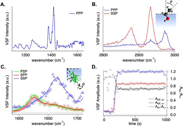 Joe Baio Appointed New Biointerphases Associate Editor