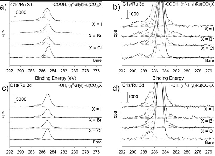 Read Recent Collection Commemorating the Career of Pat Thiel