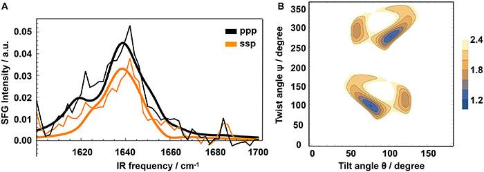 Joe Baio Appointed New Biointerphases Associate Editor