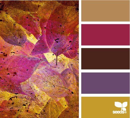 Feng Shui To The Rescue Fall 2016