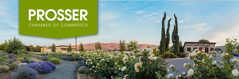 What's Happening In Prosser