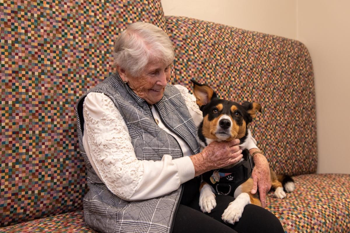 Hingham Center for Active Living - Project Update - CAL Connect