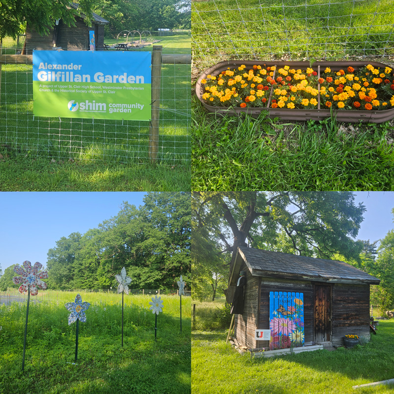 Neighbors Helping Neighbors