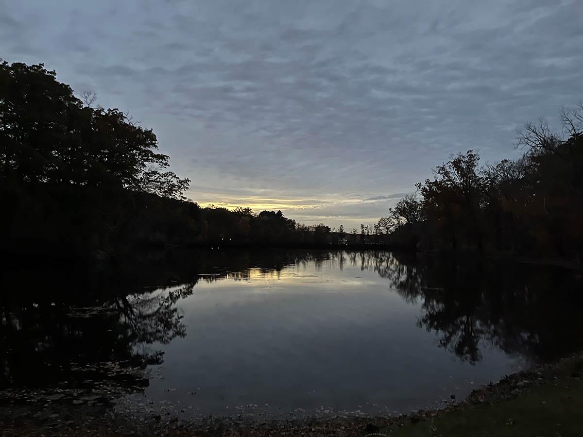 Weekly News @ Martignetti Companies