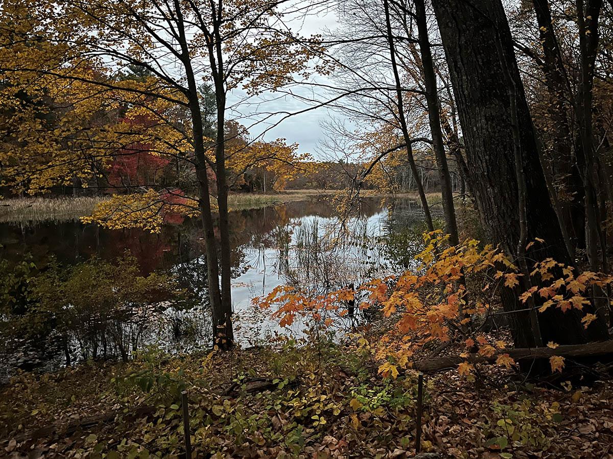 Weekly News @ Martignetti Companies