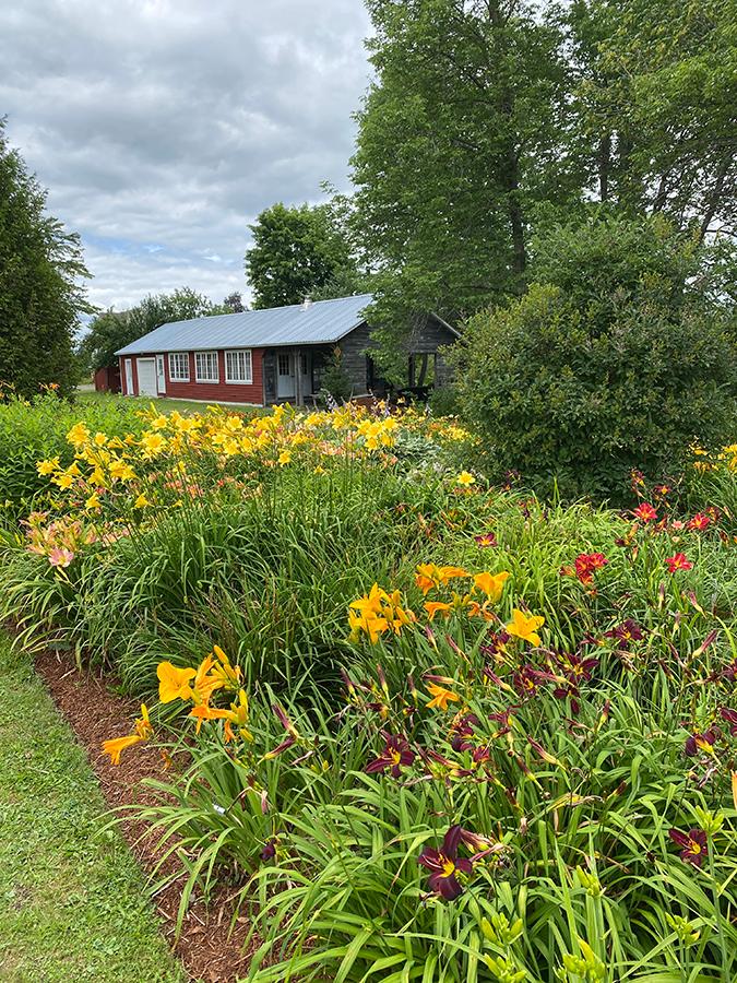 Weekly News @ Martignetti Companies