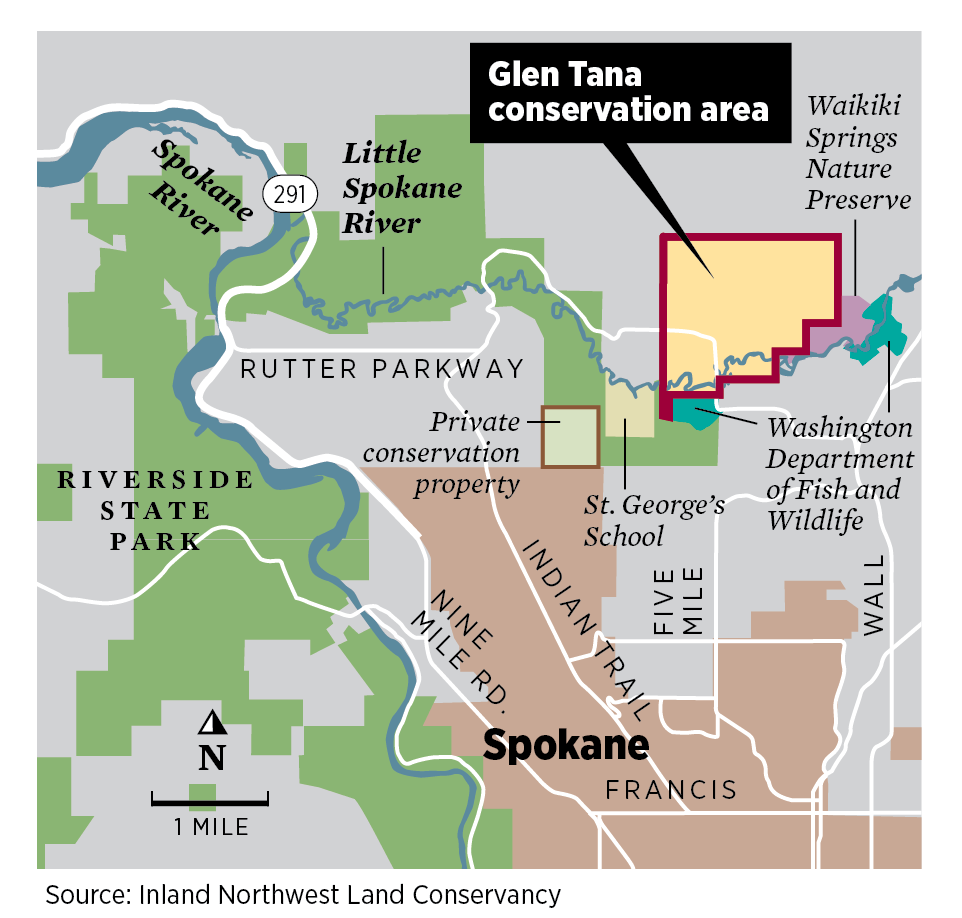 Newsletter November 2024