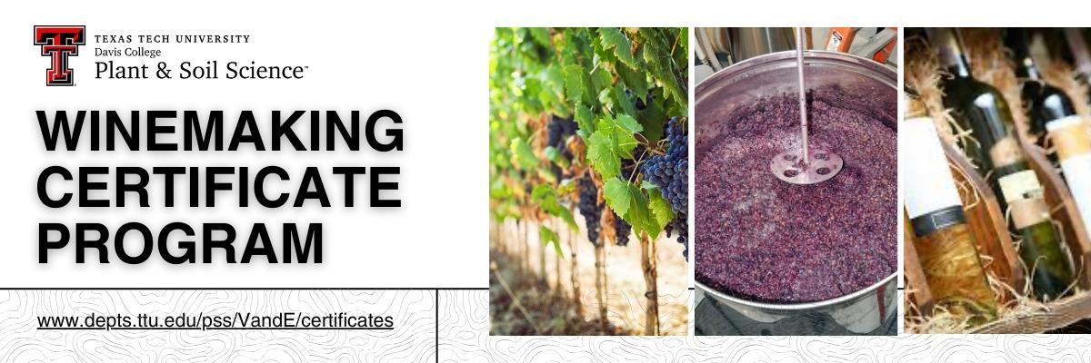 Texas Tech Winemaking Certificate Program