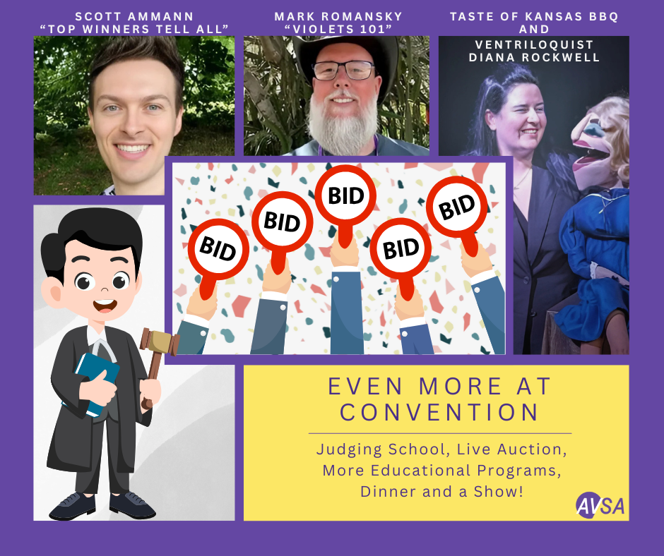Convention Highlight: Even More to See and Do