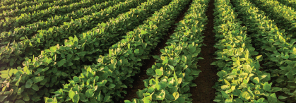 AMVAC Adds Biowake to Greensolutions