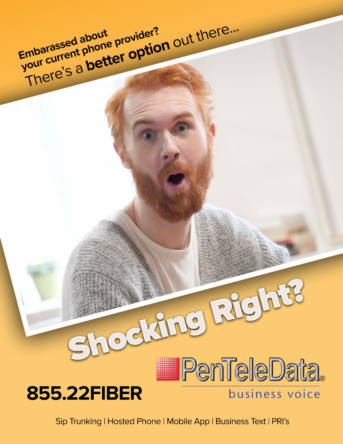 PenTeleData: Fiber for Business