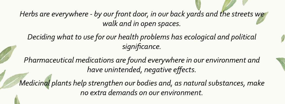 BSHS Newsletter November 16, 2025