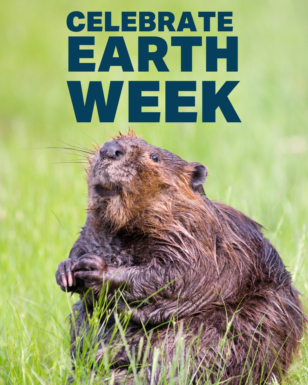 Celebrate Earth Week with Tuolumne River Trust!