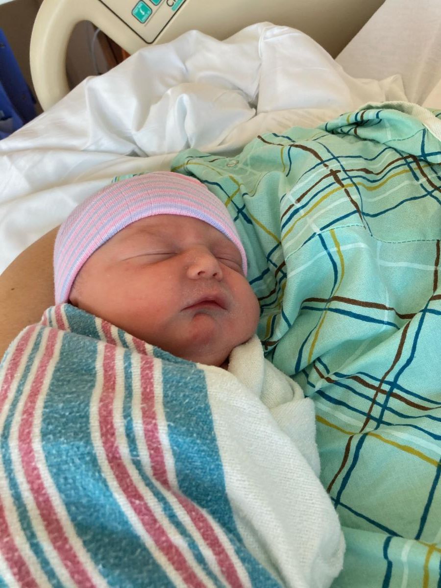 The Gilbert School's BUZZ e-Newsletter #41