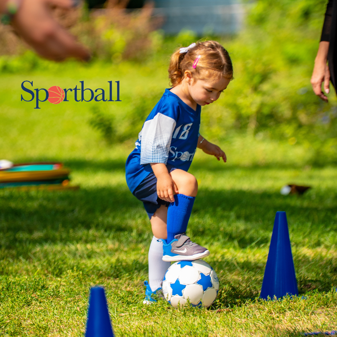 Fall Classes are here!