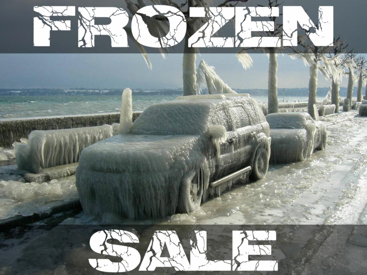 ANNUAL FROZEN SALE!