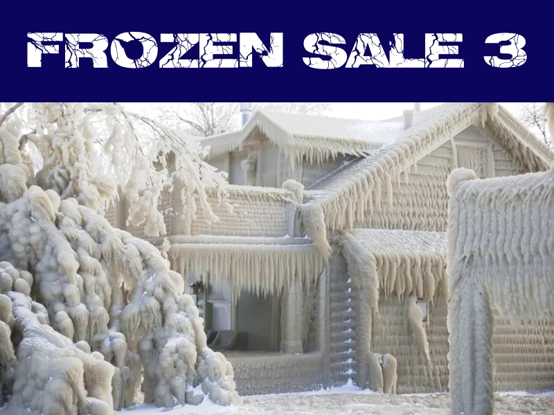 Frozen Sale - Part 3