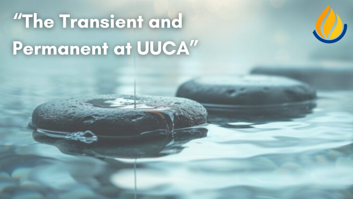 Connections Newsletter