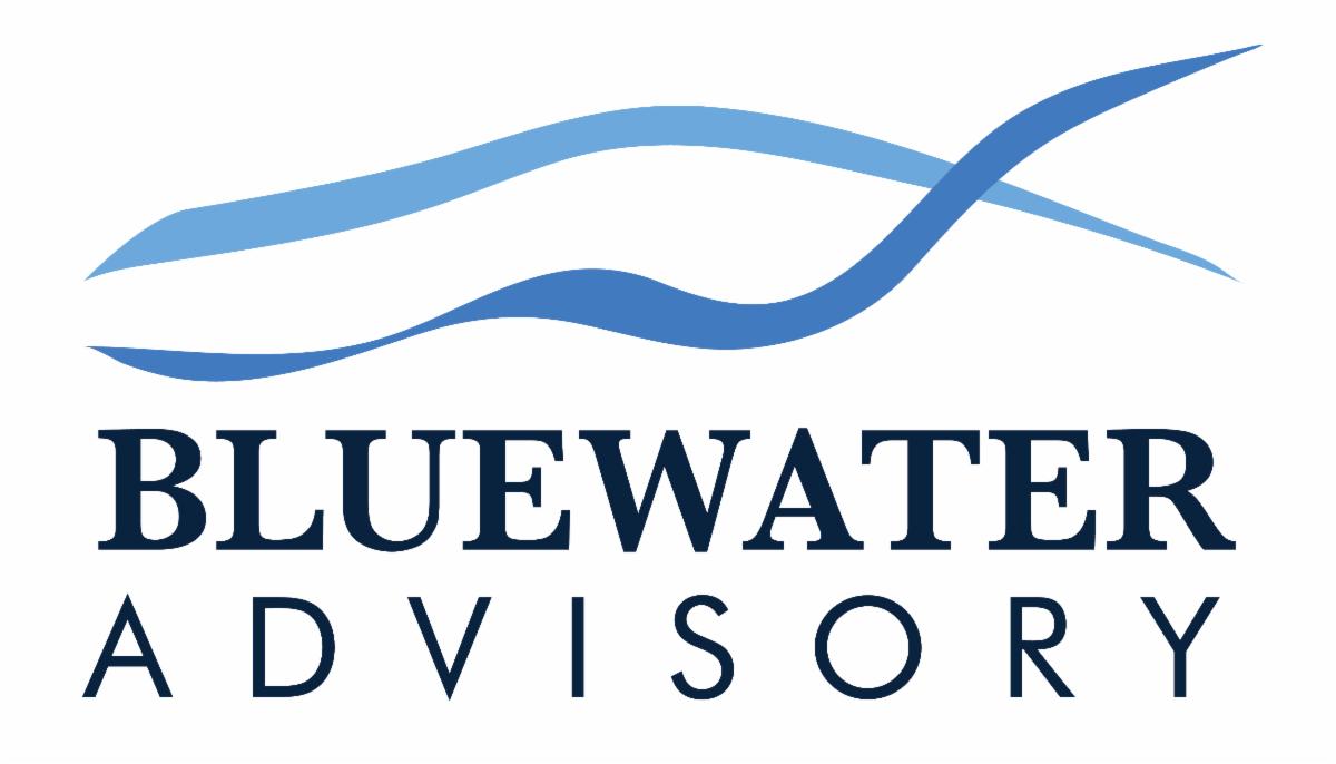 Bluewater Blog: Closing the Leadership Gap (Part 2): Identifying and ...