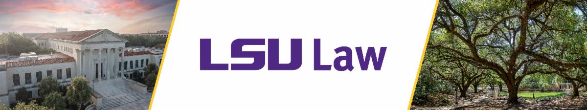 Introducing nine new faculty members at LSU Law