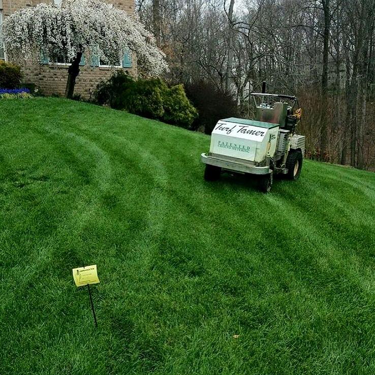 What should I expect after my first service from Lawn Doctor?