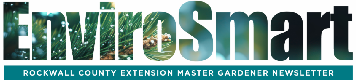 EnviroSmart Winter 2023