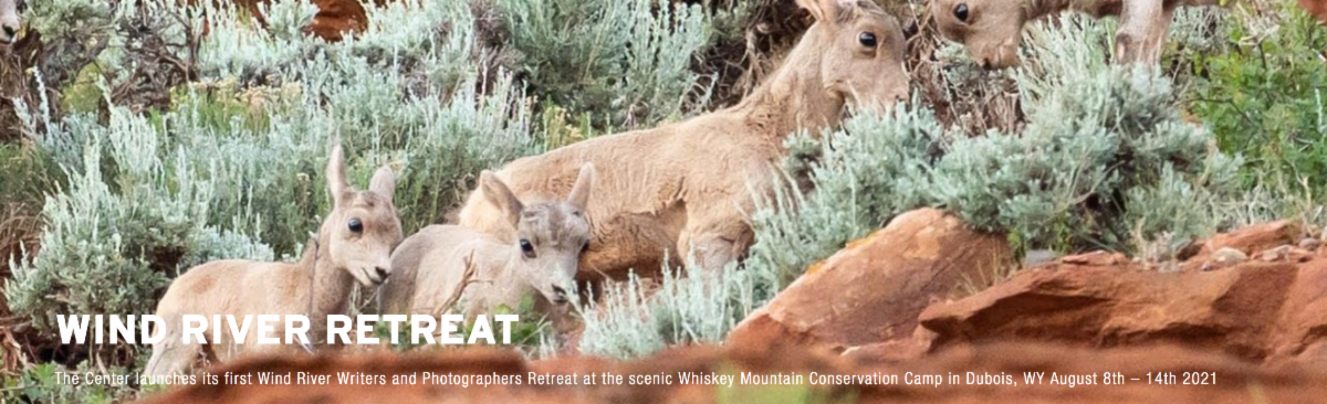 April 30, 2021 - Dubois Weekly E-News: Community Events and Announcements!