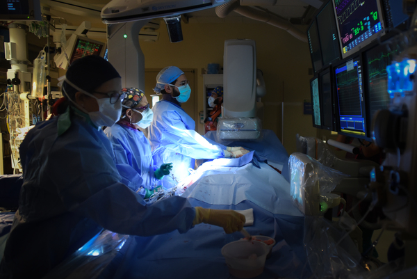 IBD Day, Level 4 Epilepsy Center, Scoliosis and Pain Management CME Course