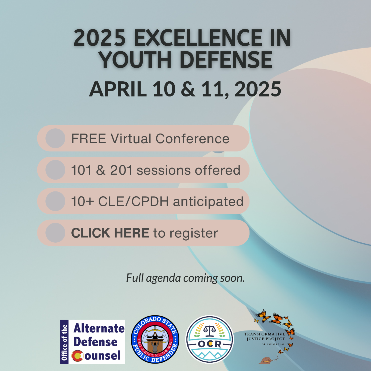 Excellence in Youth Defense Conference