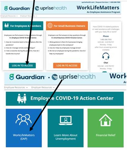 November 2021 Newsletter - The Availian