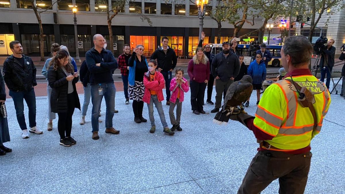 Downtown Portland Clean & Safe’s October 2022 Street Beat!