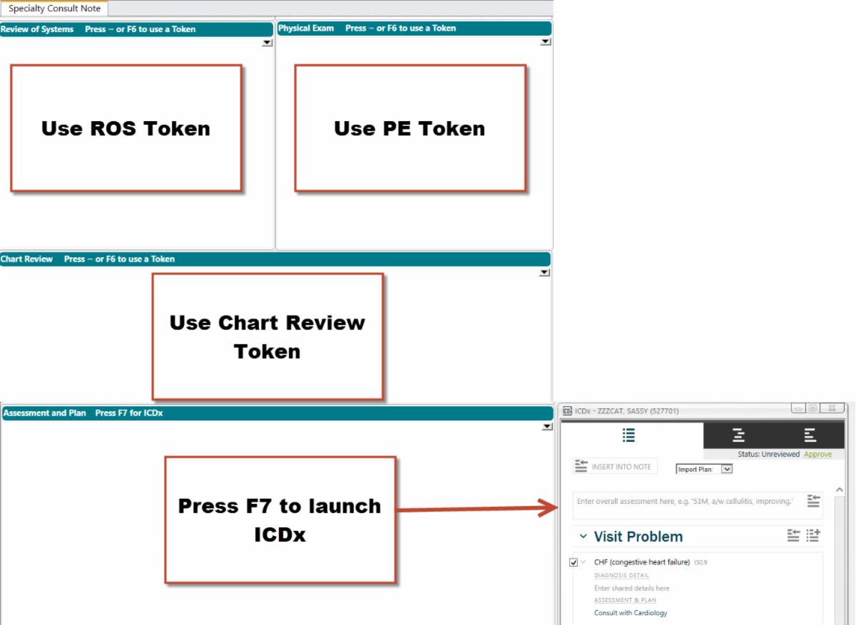 August Provider IT Newsletter