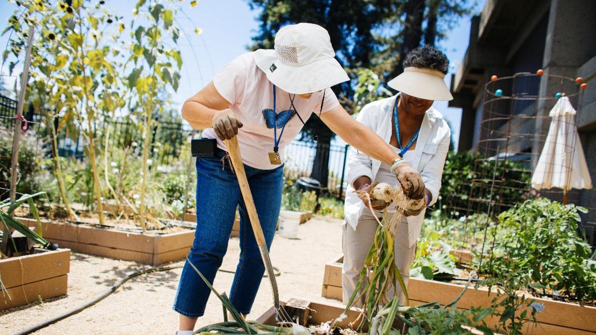 Coordinator News and Program Updates