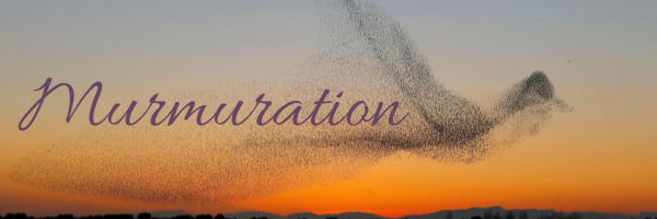 April Murmuration