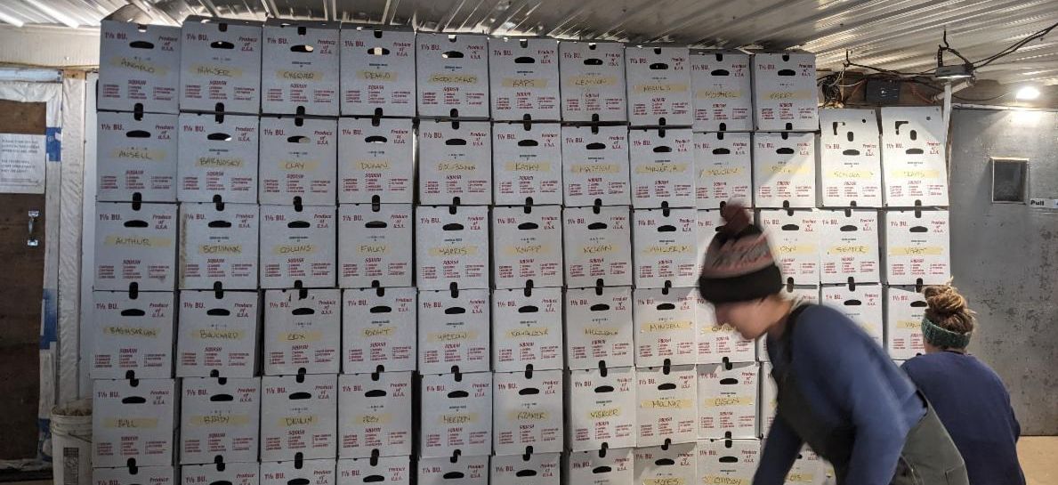 Upswing Farm Winter CSA