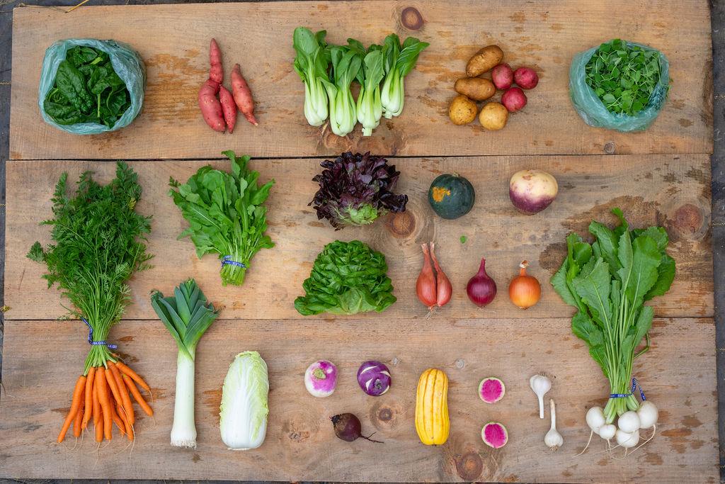 Upswing Farm Winter CSA