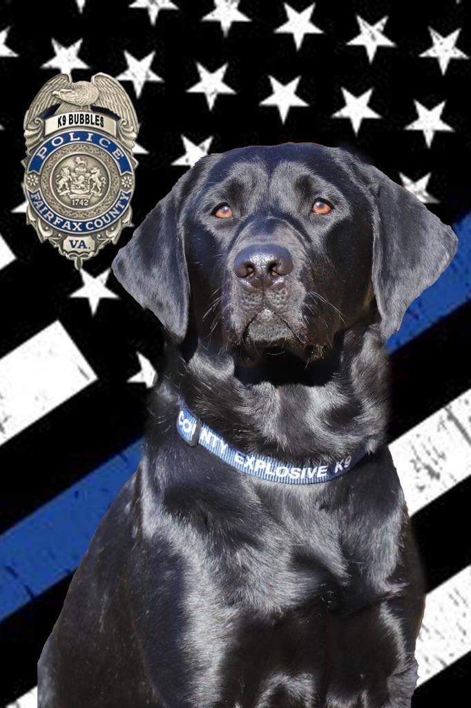 Fairfax County Police - June McLean District Police Station Newsletter