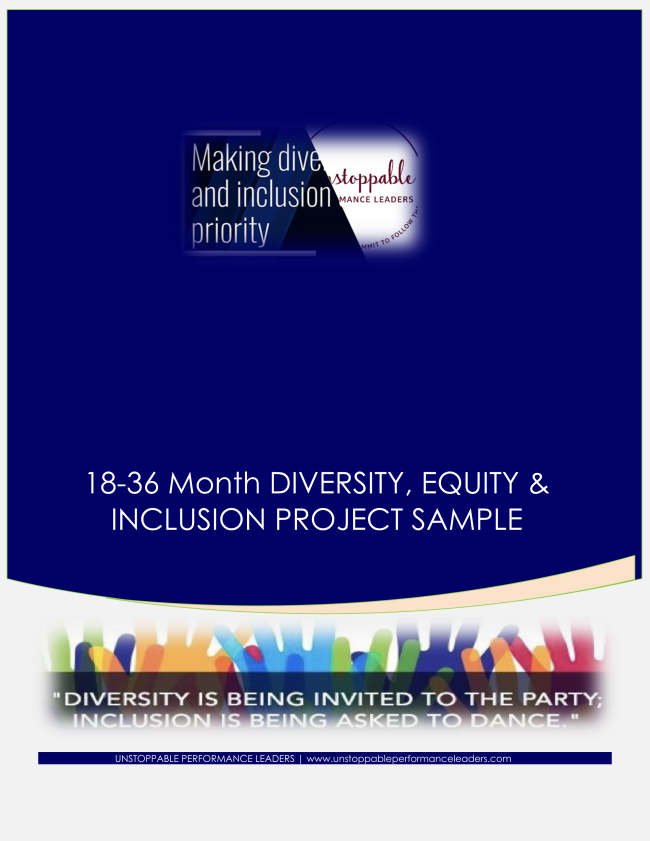 18-36 Month Extensive DEI Project Sample