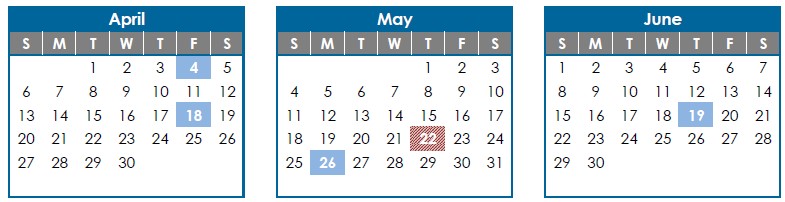 Spring 2025 Newsletter