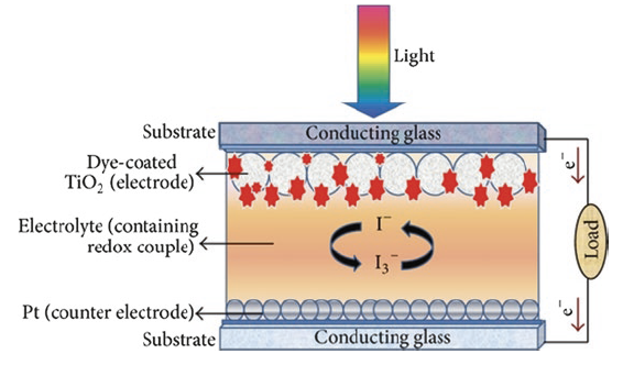 Optimizing Dye-Sensitized Solar Cells: The Crucial Role of the ...