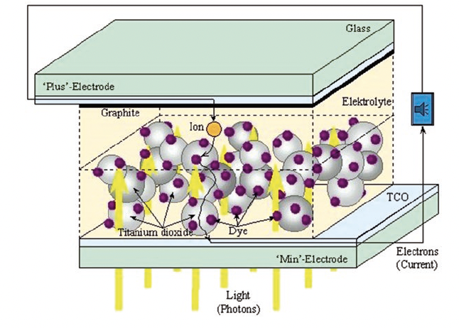Optimizing Dye-Sensitized Solar Cells: The Crucial Role of the ...