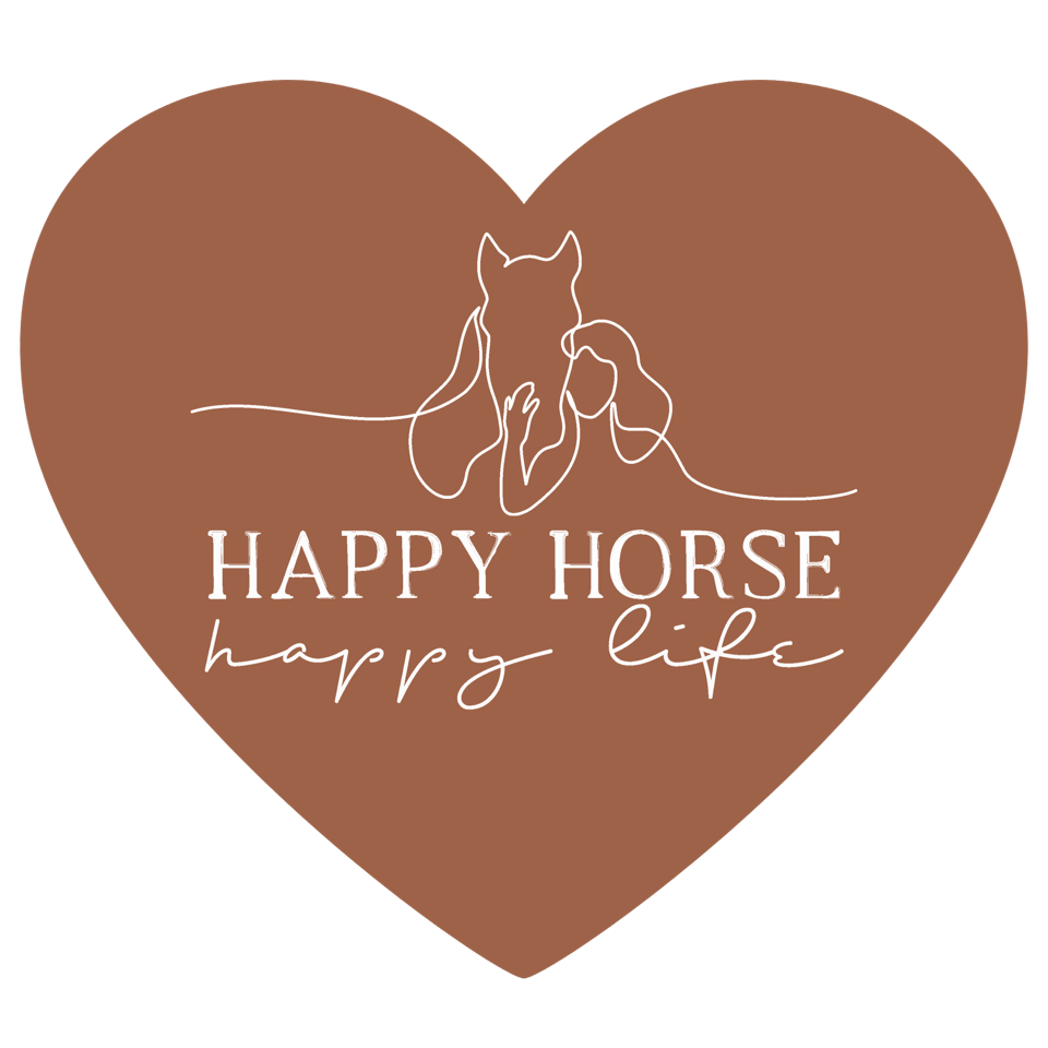 Students of Soulutions by Elli have their say!