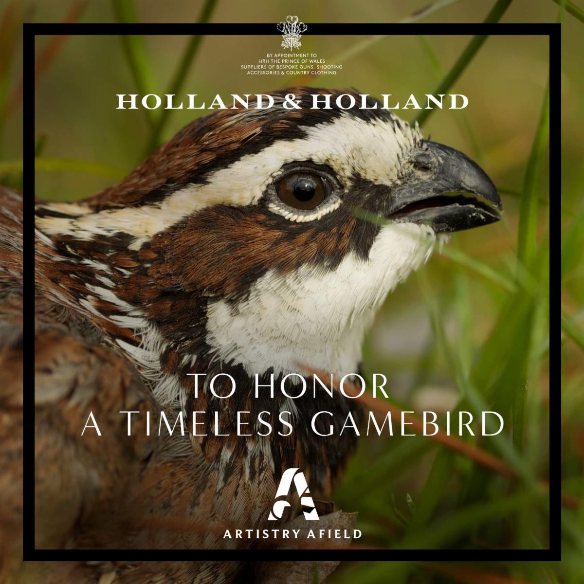 Southern Pa'tridges w/ A Genuine British Flavor - Holland & Holland & Artistry Afield