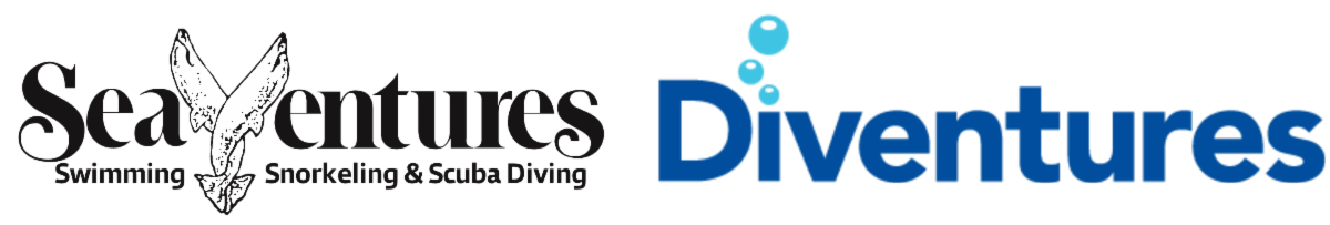 BIG NEWS - Changes coming to the SeaVentures Swim Program in January 2022