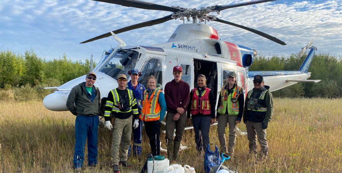 Avoid Wildlife Incidents