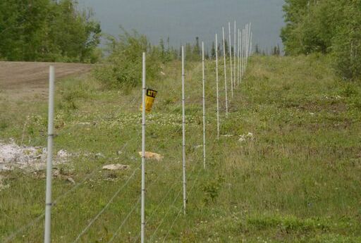 Avoid Wildlife Incidents